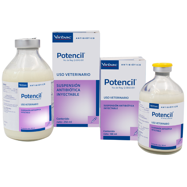 Potencil